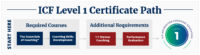 ICF Level 1 Certificate Program - Professional Christian Coaching Institute